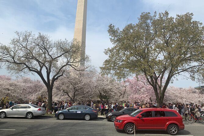 Washington DC Combo Tour: Daytime & Night-Time Sightseeing City Tour with Stops - Who Should Consider This Tour?