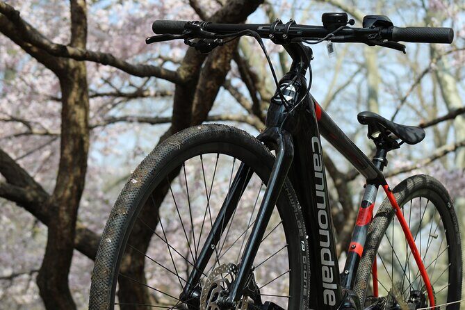 Washington DC eBike Rentals - Frequently Asked Questions