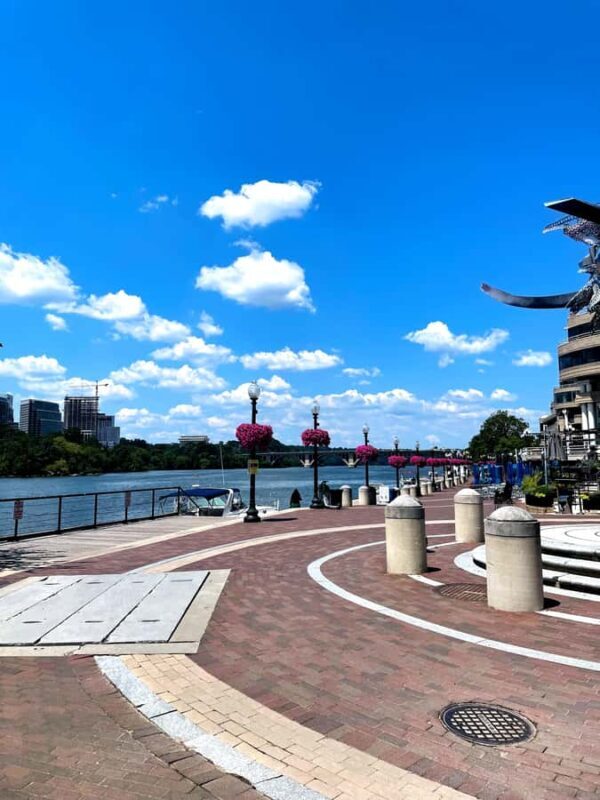 Washington DC: Food Tour with 6+ Locals Favorites Bites - Key Points