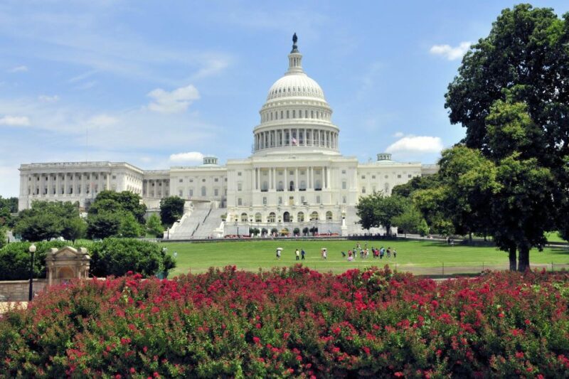 Washington DC from NYC Private Full-day Trip by Car - Who This Tour Is Best For