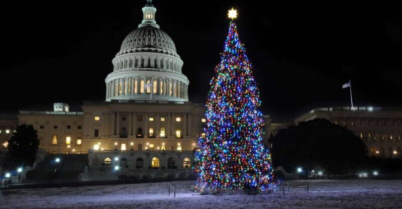 Washington, DC: Holiday Lights Nighttime Bus Tour - Authentic Experiences and Real Traveler Feedback