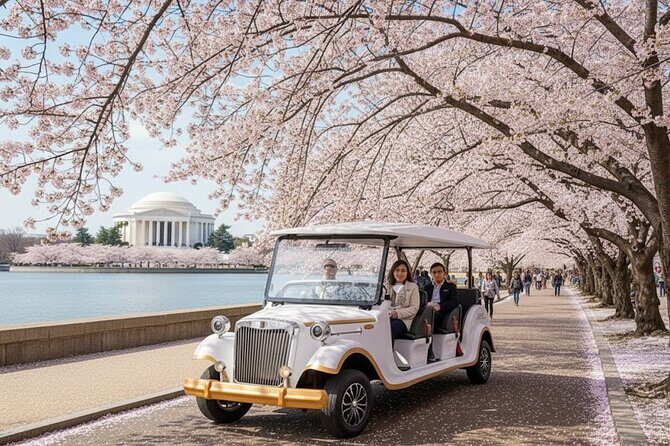 Washington DC Monument's Cherry Blossom Guided E-Cart Tour - An In-Depth Look at the Tour Experience