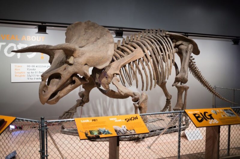 Washington DC: Museum of Natural History Private Guided Tour - A Closer Look at the Washington DC: Museum of Natural History Private Guided Tour