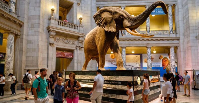 Washington DC: Museum of Natural History Private Guided Tour - Final Thoughts