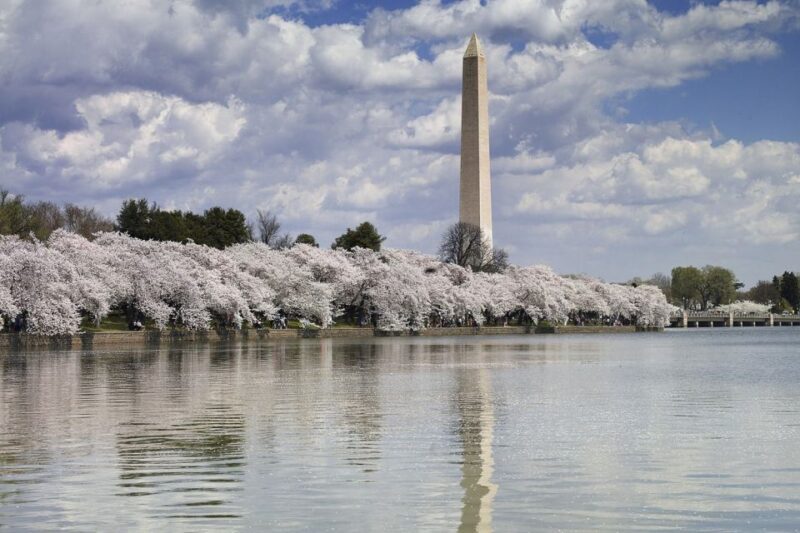Washington DC: Must See Sights Half-Day Tour - Why This Tour Works Well