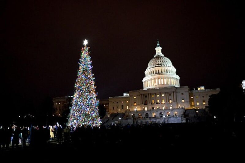 Washington, DC: National Mall and Memorials Moonlight Tour - Key Points