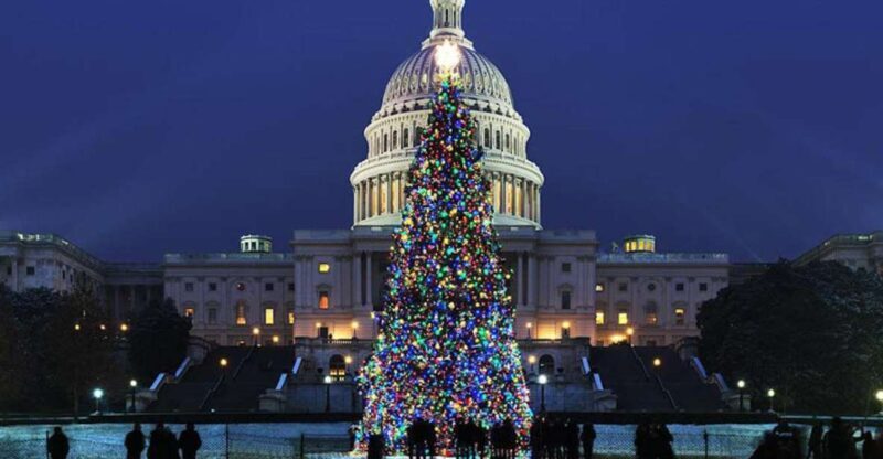Washington, DC: National Mall and Memorials Moonlight Tour - Why You’ll Appreciate This Experience