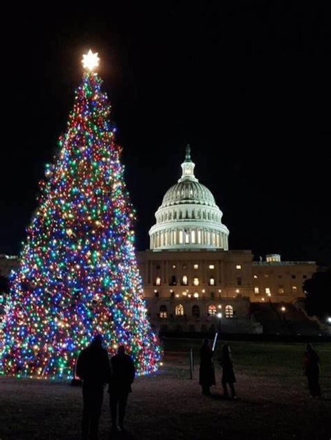 Washington, DC: National Mall and Memorials Moonlight Tour - FAQs