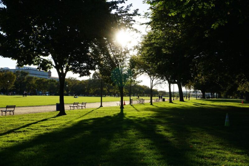 Washington DC: National Mall Walking Tour - FAQ — Your Practical Questions Answered