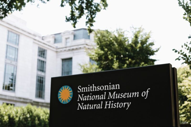Washington DC: National Museum of Natural History Tour - An In-Depth Look at the Museum Experience