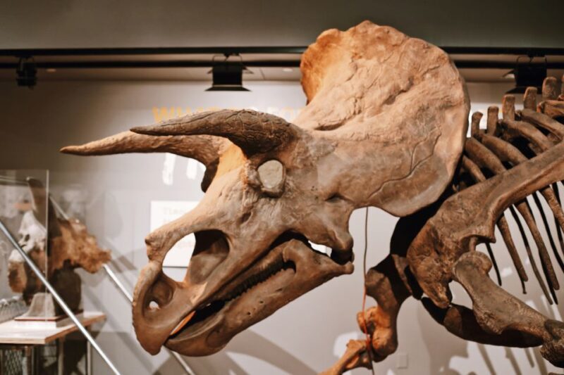Washington, DC: Natural History & Air and Space Museum Tour - Frequently Asked Questions