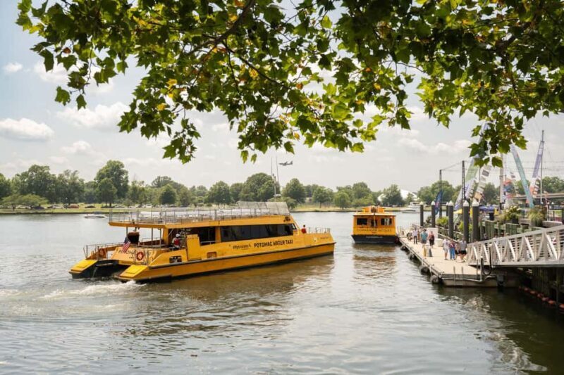 Washington DC: Potomac Cruise and Georgetown Walking Tour - The Potomac River Cruise