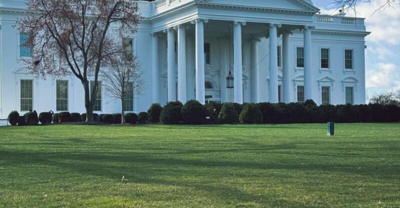 Washington DC: Private Half-Day Sightseeing Tour - Who Would Love This Tour?