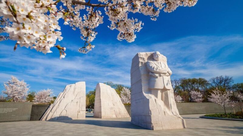 Washington DC: Private Tour with Luxury Vehicle - Price and Value