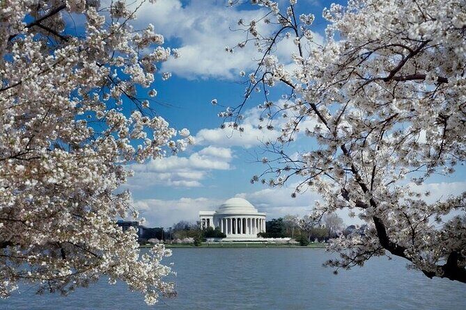 Washington, DC Self-Guided Private SUV TourMonuments & Memorials - The Sum Up