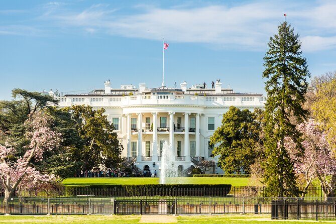 Washington DC Sight Seeing Private Tour-English or Spanish Option - The Sum Up