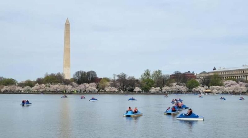 Washington DC: Tidal Basin Pedal Boat Rental - Key Points