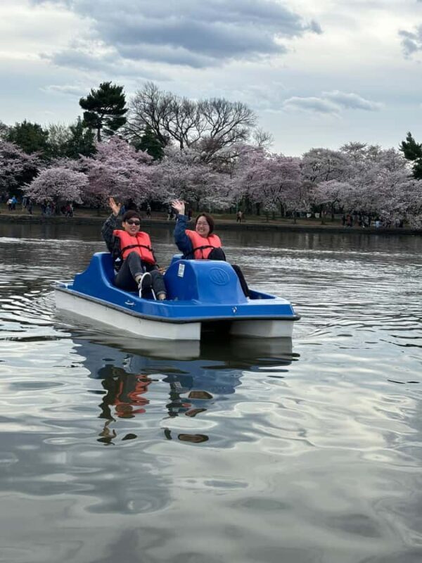 Washington DC: Tidal Basin Pedal Boat Rental - Why Rent a Pedal Boat at the Tidal Basin?