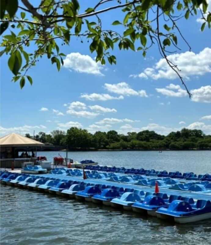Washington DC: Tidal Basin Pedal Boat Rental - Pricing and Value