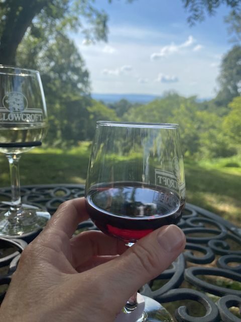Washington, DC: Virginia Wine Region Experience Tour - What to Expect from the Virginia Wine Experience