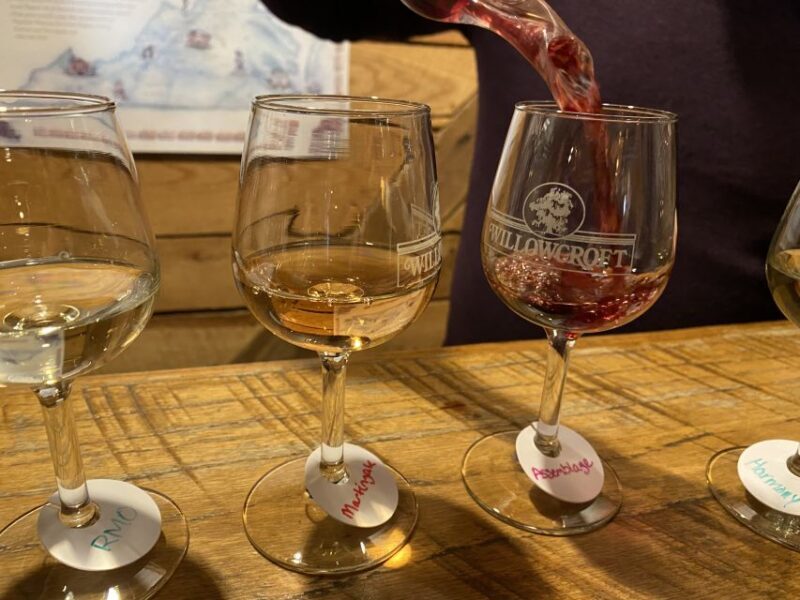 Washington, DC: Virginia Wine Region Experience Tour - What the Tour Includes and What You Should Know