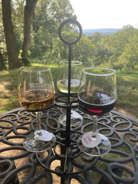 Washington, DC: Virginia Wine Region Experience Tour - Who Will Love This Tour?
