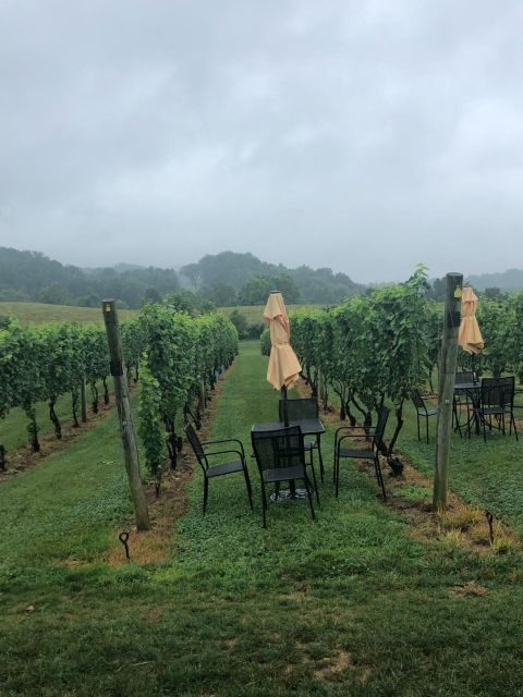 Washington DC: Winery Tour - An Honest Look at the Virginia Winery Tour