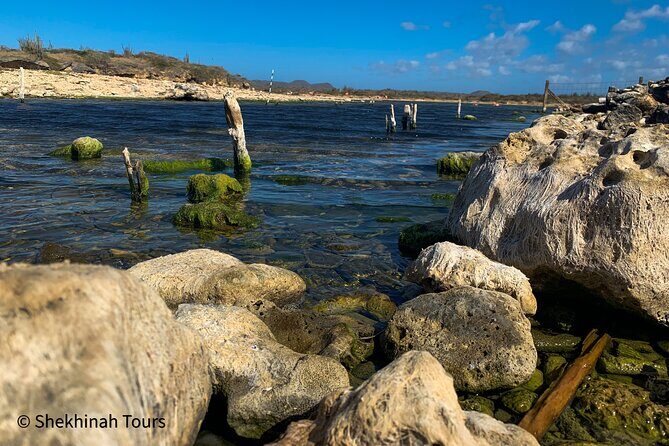 Washington Park Tour with Local Guide on Bonaire - The Practicalities and What They Mean for You