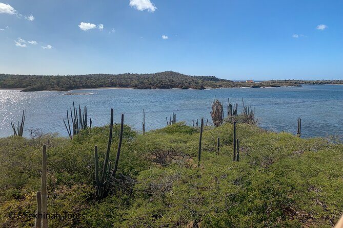 Washington Park Tour with Local Guide on Bonaire - Frequently Asked Questions
