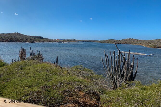 Washington Park Tour with Local Guide on Bonaire - Final Words