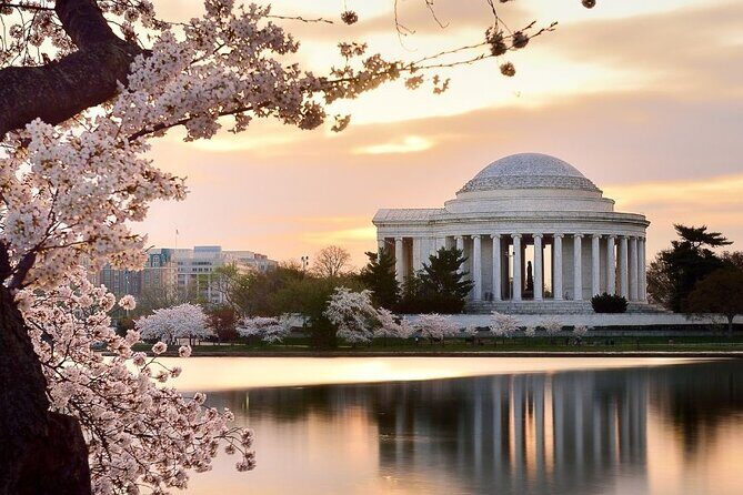 Washington : Private Custom Walking Tour With A Guide (Private) - What Can You Expect from the Stops?
