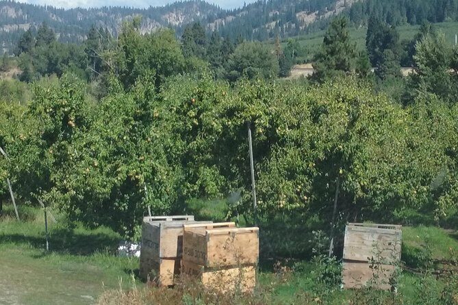 WASHINGTON ST AGRICULTURE, Apples & Irrigation - An In-Depth Review of the Washington Apples & Irrigation Tour