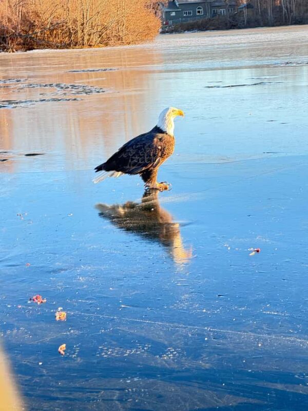 Wasilla Alaska Ice Fishing at Finger Lake State Park - Additional Practicalities