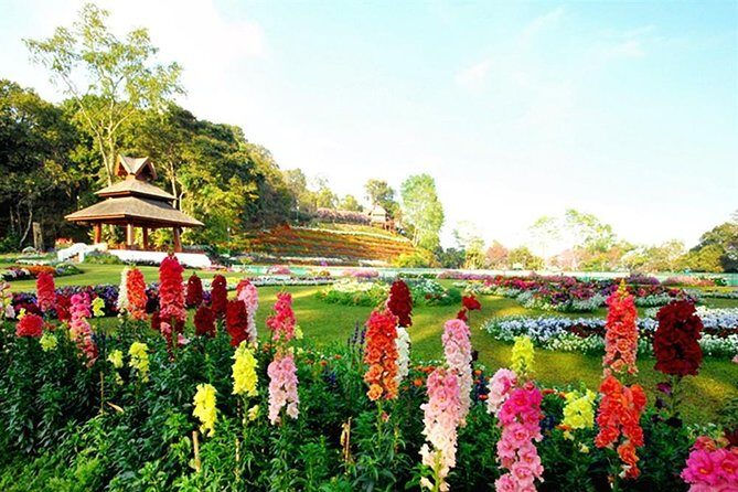 Wat Doi Suthep Temple & Phu Ping Palace: Chiang Mai Highlights - A Closer Look at the Tour Itinerary