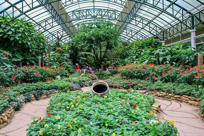 Wat Doi Suthep Temple & Phu Ping Palace: Chiang Mai Highlights - Who Should Consider This Tour?