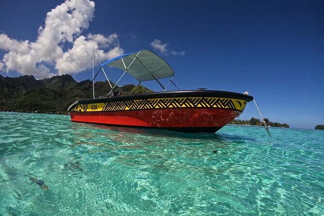 Watch and Swim with Humpback Whales in Moorea - Final Thoughts