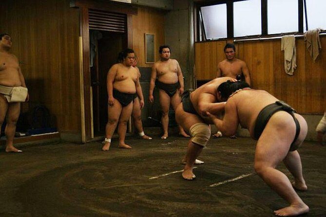 Watch Sumo Morning Practice at Stable in Tokyo - Who Will Love This Experience?