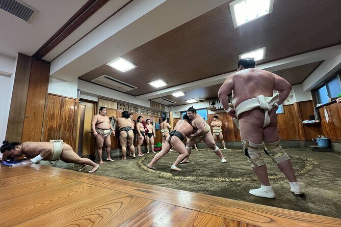 Watch the Real Sumo Morning Practice tour at Yokozuna stable - Practicalities: What You Need to Know