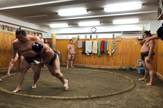 Watch the Real Sumo Morning Practice tour at Yokozuna stable - Final Thoughts: Is It Worth It?