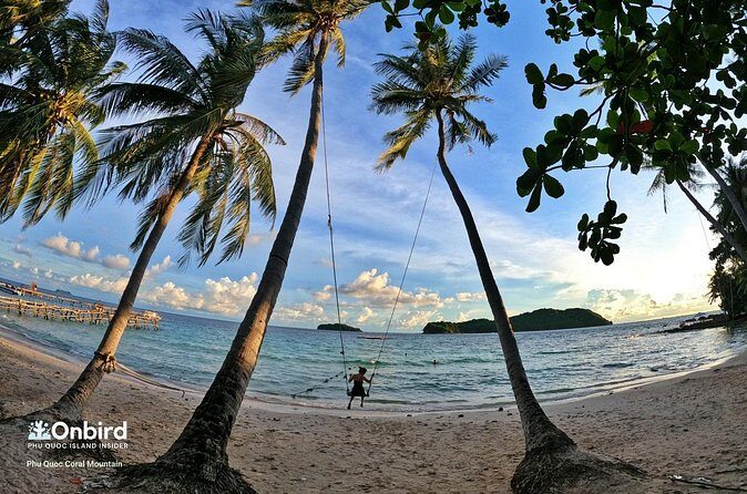 [Water Bus] 4 Islands: May Rut - Mong Tay - Gam Ghi - Pineapple - Who Will Love This Tour?