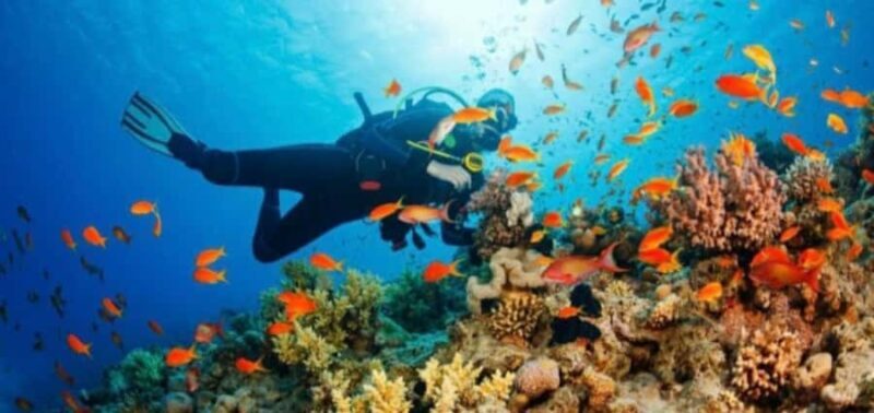 water sports experience in bali - The Sum Up