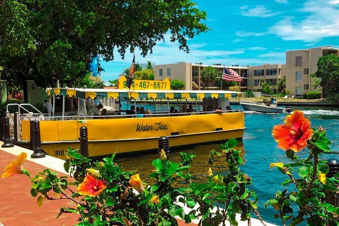 Water Taxi All Day hop-on hop-off Venice of America Boat Tour - Key Points