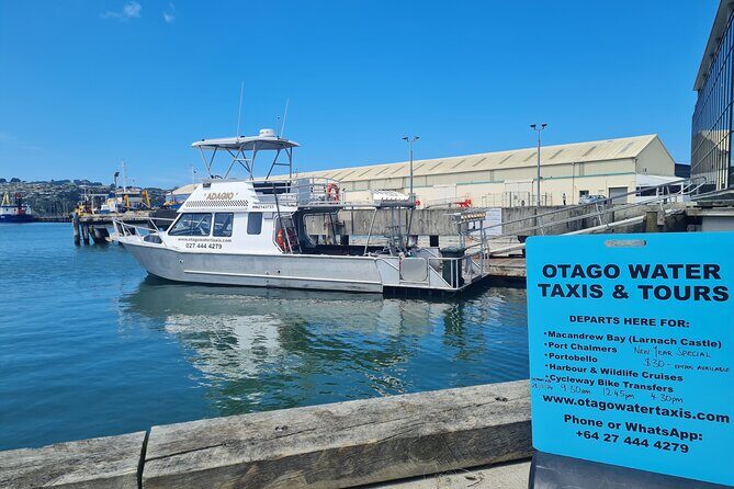 Water Taxi and Shuttle to Larnach Castle - Why Travelers Love It (Based on Reviews)
