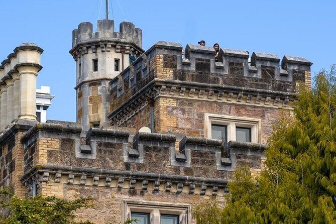 Water Taxi and Shuttle to Larnach Castle - Who This Tour Suits Best