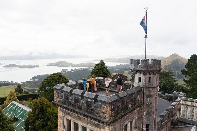 Water Taxi and Shuttle to Larnach Castle - In The Sum Up: A Worthwhile Experience for Curious Explorers