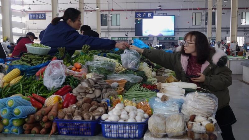 Water Town Zhujiajiao Shanghai: Boat Ride,Sights,Bites&Sips - Practical Tips for the Day