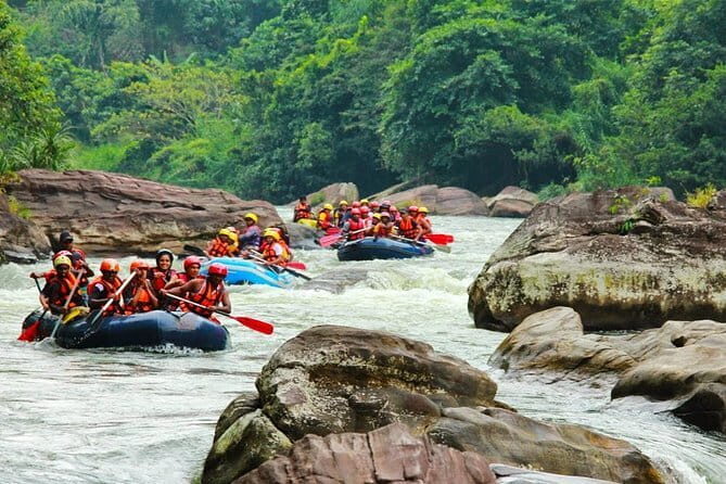 Waterfall Abseiling with Kingfisher Tours Sri Lanka - Who Should Consider This Tour?