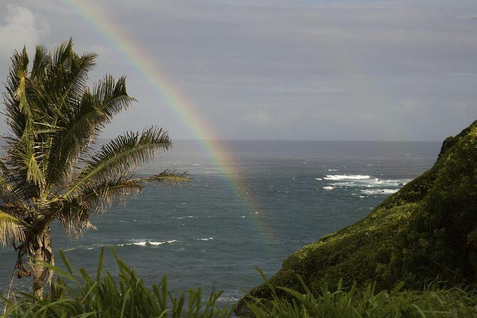 Waterfall and Rainforest Adventure - In-Depth Look at the Tour Experience
