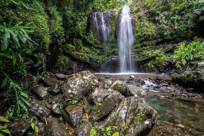 Waterfall Curtain Hidden Rainforest Gem Las Cascadas Delicias - Key Points