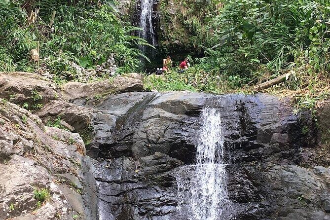 Waterfall Curtain Hidden Rainforest Gem Las Cascadas Delicias - An In-Depth Look at the Las Cascadas Delicias Tour